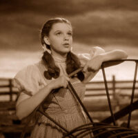 RGD | What is a Certified RGD?