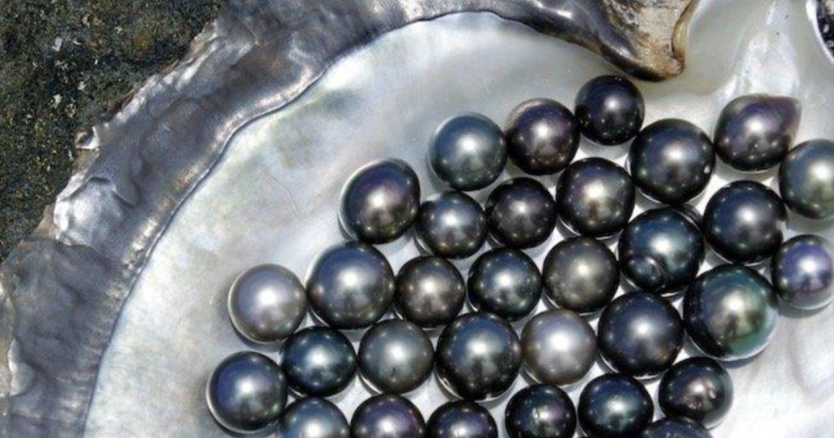 RGD | The 11 Basic Colours: Spellbound by black