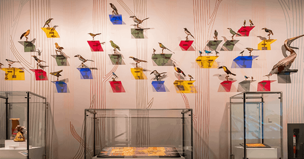 RGD | The Incas Exhibit at Pointe-à-Callière Museum celebrates the ...